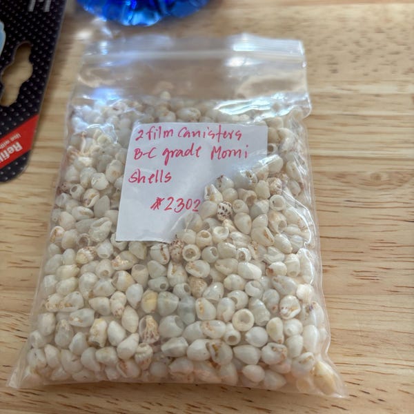 100 Pcs Size 14 and Larger, Mix Color Kahelelani Shells Supply Niihau ...