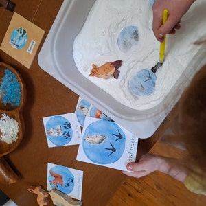 Arctic Animals 3 Part Cards. Montessori Winter Printable Vocabulary ...