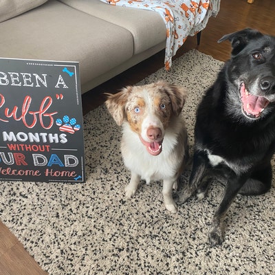 Welcome Home Dog Sign Dad Pet Homecoming Back From Deployment Best ...