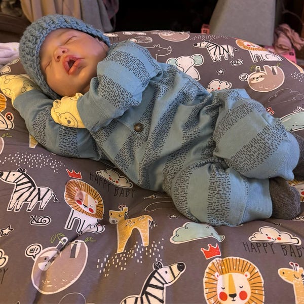 Reborn Doll Pose N' Cuddle Body Reggiesdolls Pre Stuffed All Sizes Free ...