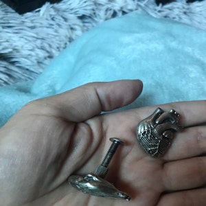 Anatomical Heart Cabinet Hardware, Antique Silver made in NYC - Etsy
