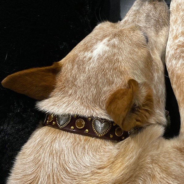 Personalized Dog Collar, Designer Dog Collar, Fancy Dog Collar - Etsy