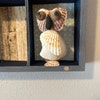 Seashell Frog With Fan, Frog Figurine, Seashell Art, Sanibel Island ...