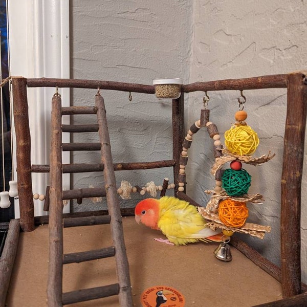 Handmade Colorful Bird Playground: Parrot Gym With Swing & Perch - Etsy