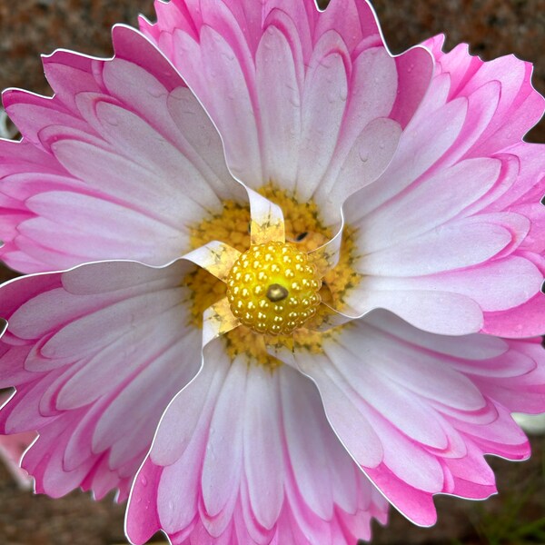 Hummingbird Pinwheel Spinner Whirligig Windmill Fan - Etsy