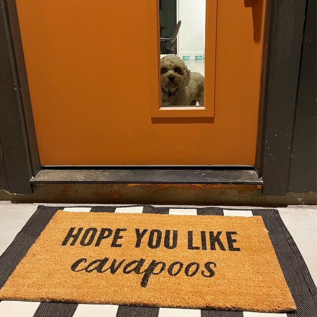 PopularDoodle - Etsy