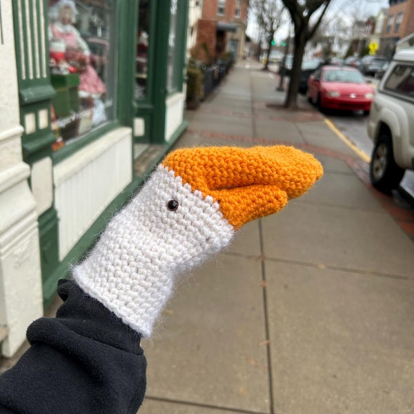 Goose Mittens - Custom Size - Crochet Pattern Instant Download - Etsy
