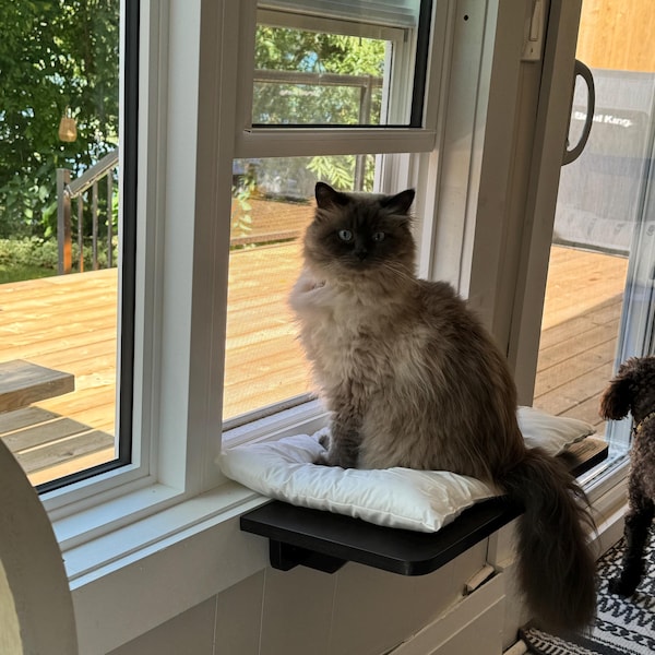 Wooden Dog Window Perch: Natural Windowsill Pet Seat With Storage - Etsy