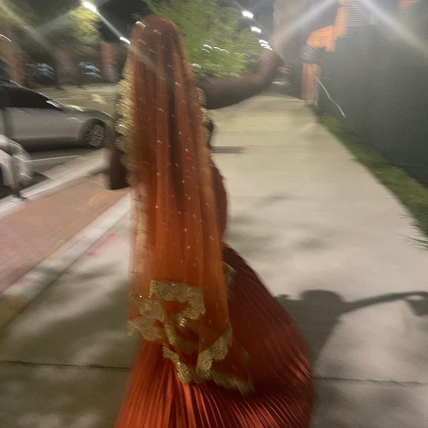 Golden Net Dupatta With Beaded Border. Indian Dupatta for Women With ...