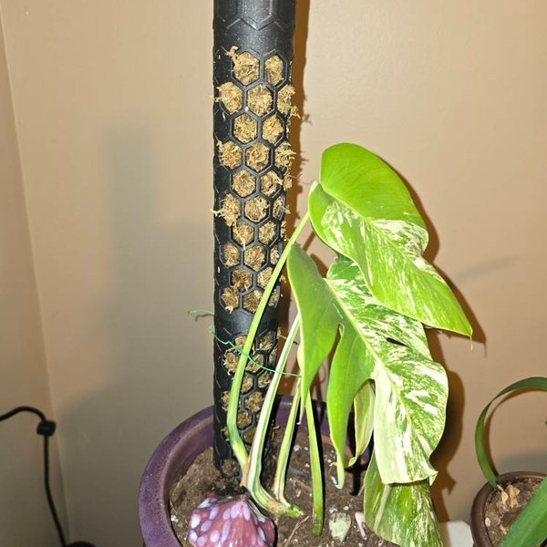 Alien Planter Alien Bust Plant Pot Scifi Indoor Planters Space Indoor ...