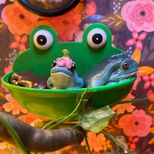 Handmade Polymer Clay Angry Screaming Desert Rain Frogs - Etsy