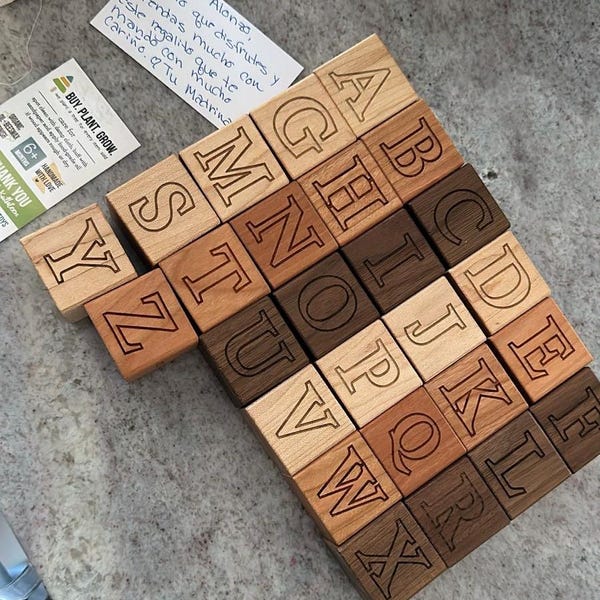 26-piece PICTURE ALPHABET Block Set - Natural Wooden Toy Blocks With ...