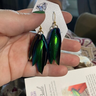 Real Beetle Wing Earrings Insect Earrings Beetle Earrings Real Bug ...