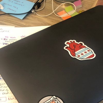 Chicago Flag Anatomical Heart Die Cut Sticker - Etsy