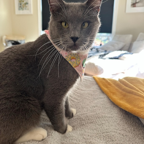 Cat Bandana, Bandanas for Cats, Pet Scarf, Cat Accessories, Cat Gifts ...