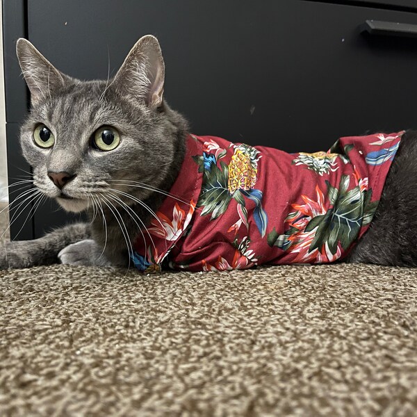 Summertime Aloha Shirt for Cats - Etsy