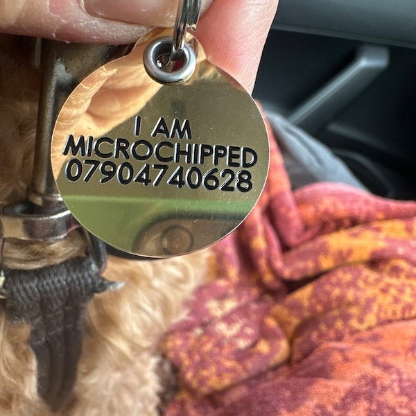 REINFORCED Deeply Engraved Solid Brass Dog Tag, 27mm Round - Etsy