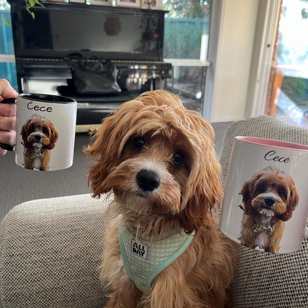 Embroidered Goose Bumps Sweatshirt Silly Goose Crewneck Goose Bump ...