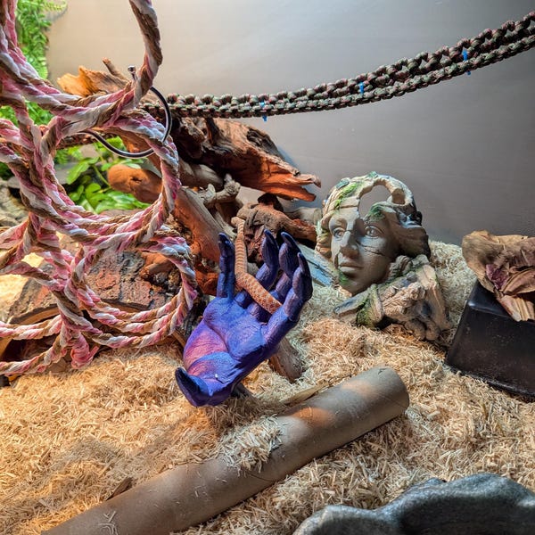 Scary Devil Demon RIGHT Hand Reptile Tank Decoration Snake Climbing ...