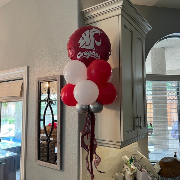 18" ELMO HAPPY BIRTHDAY Balloon - Party Supplies Decorations Foil Mylar ...