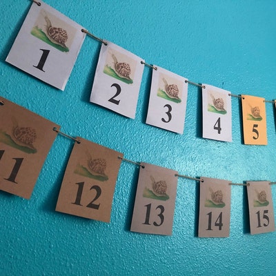 North American Desert Biome Printables Digital Download Exploring ...