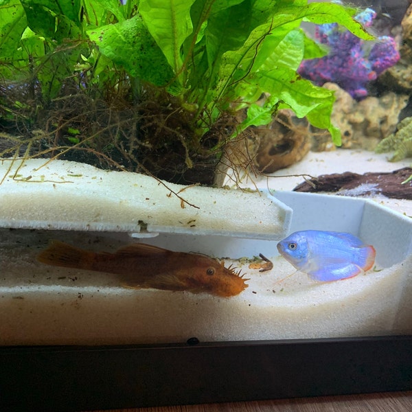 Corner Undergravel Fish and Terrarium Tunnel Fish Cave Fish Hide ...