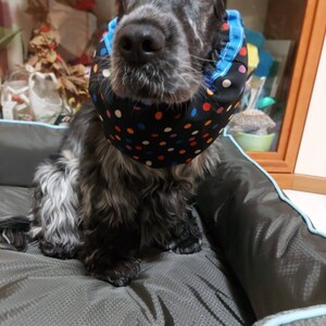 Waterproof Thick Dog Snood Swimming Cap for Dog Dog Hat - Etsy