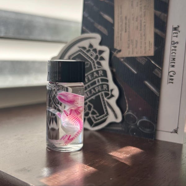 Vintage Embalming Eye Caps opaque - Etsy