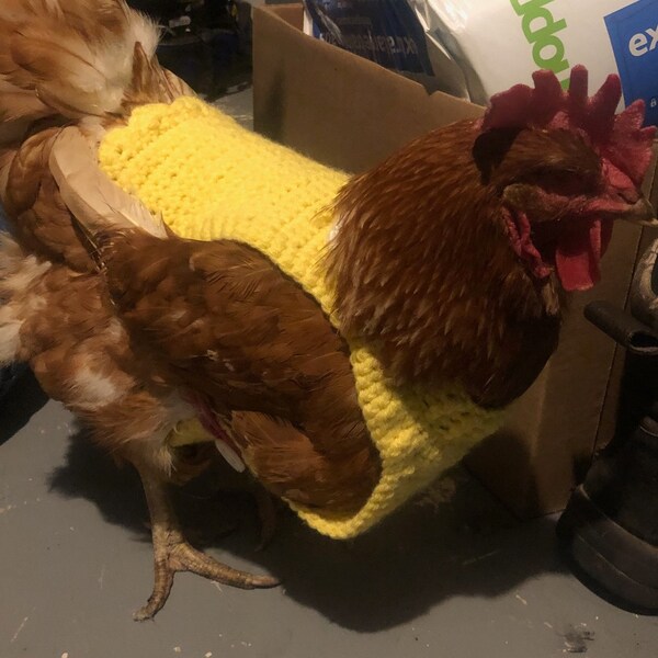 Chicken Sweater Flouncy Crocheted Chicken Saddle Crochet Pattern ...
