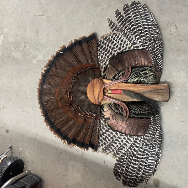 Turkey Tail/wing Mount. - Etsy
