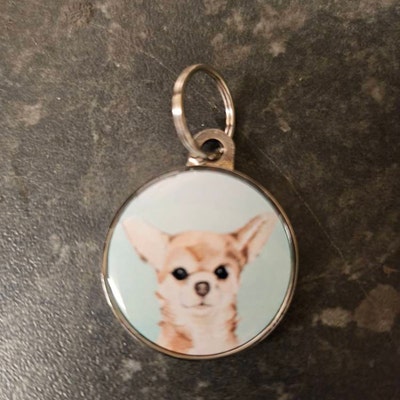 Poop Dog Tag for Your Little Sht Free Personlisation - Etsy UK