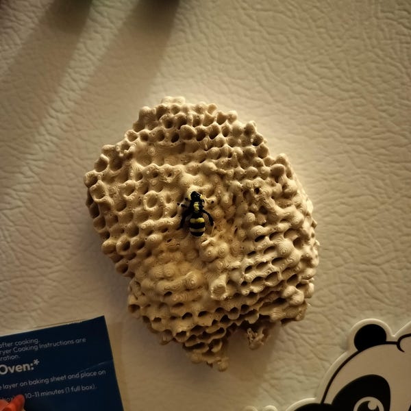 Reflector 3d Printed Geocache With Log - Ready to Be Hidden! - Etsy