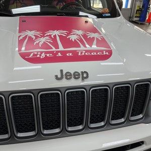 Bikini Edition Decal for Bikini Colored Vehicle - Etsy