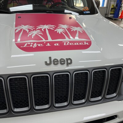 Bikini Edition Decal for Bikini Colored Vehicle - Etsy