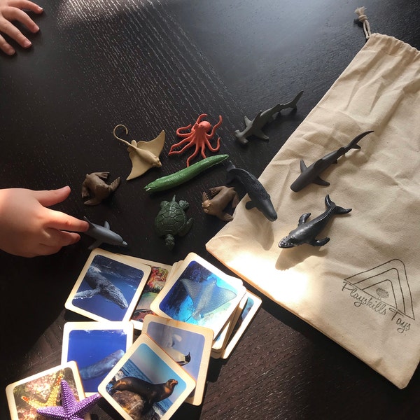 Montessori and Waldorf Learning Sea Life Animals Sustainable Match Toys ...