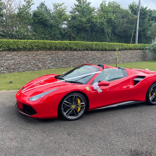 15 X Artificial Flexible Bear Onion Grass. Perfect for Corsages ...