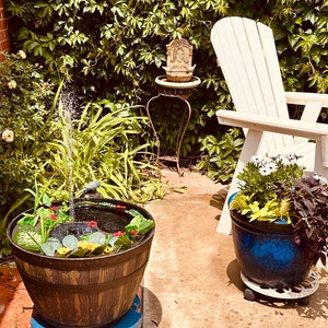 Bird Oasis™ Floating Bird Bath & Fountain Solar Powered - Etsy