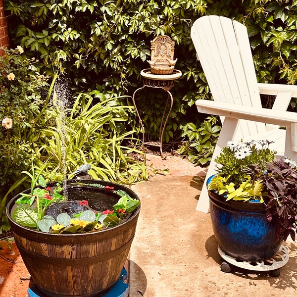 Bird Oasis™ | Floating Bird Bath & Fountain | Solar Powered LED Outdoor ...