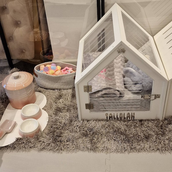 Fully Transparent Modern Dog and Cat House With Acrylic Sides Petso ...