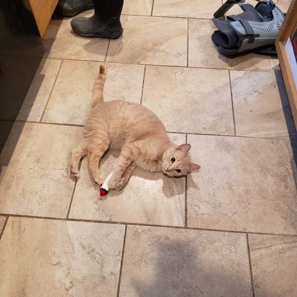 Crochet Catnip Cat Toy – Acrylic Yarn Kitty Joint, Cat Blunt - Etsy