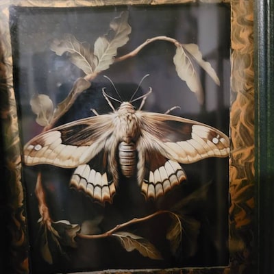 Celestial Eclipse Dark Aesthetic, Solar Lunar Eclipse Vintage Painting ...