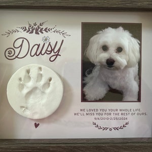 Pet Memorial Paw Print Harness Holder Shadow Box, Pet Loss Frame, Clay ...
