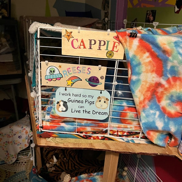 Guinea Pig Name Tag, Guinea Pig Accessories, Pet Tag, Guinea Pig ...