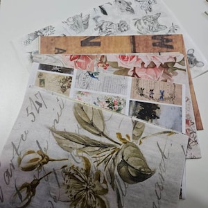 Fronds Botanical IOD Transfer Pad With 4 12 X 16 Sheets by Iron Orchid ...