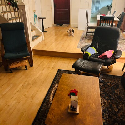 Walnut Wood Rectangle Computer Desk Table, Narrow Spacesaver Modern ...