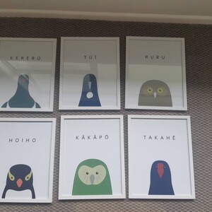 New Zealand Birds Wall Art, MEGA BUNDLE, Set of 20 , Printable, Instant ...