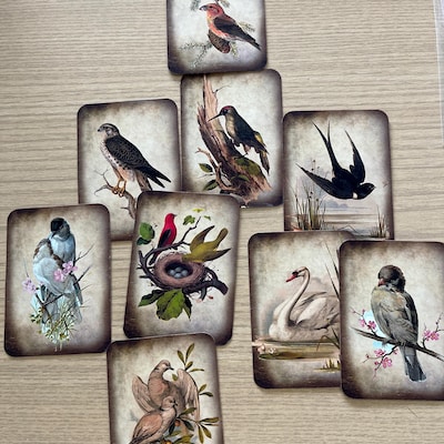 FREE SHIP Vintage set of 9 Post Card Tags 1 7/8 X 3 1/8 - Etsy