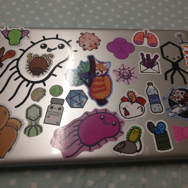 Cute Stds Sticker Set - Etsy