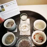 Wingstem Seeds - Etsy Canada