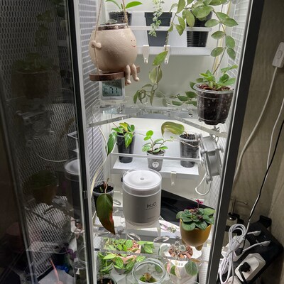 Milsbo Tall Set of 3 Sizes Shelves for IKEA Indoor Greenhouse Cabinet ...